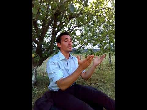 Бекметов Максим 3 место в номинации «Художественное чтение»