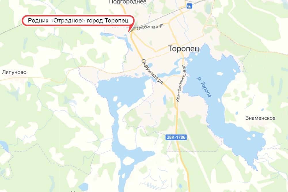 Родник древних викингов в Отрадном