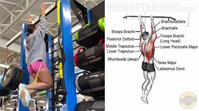 ДНЕВНАЯ ТРЕНИРОВКА | Спина и бицепс