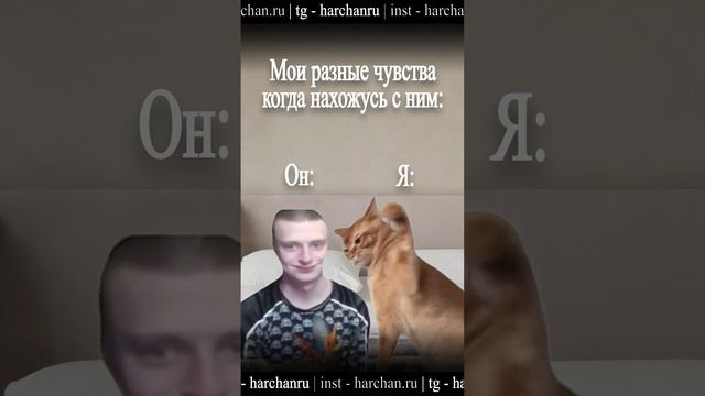 Мы точно разные:)?

#harchan