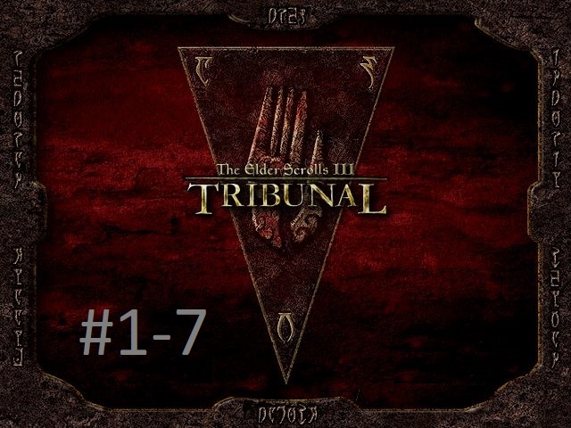 TESIII Tribunal #1-7 Вор.mp4