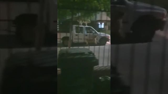 Жизнь на районе кипит. Пятница, вечер, понеслась?