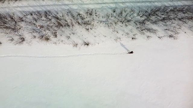 Прогулка на "туристских" лыжах.