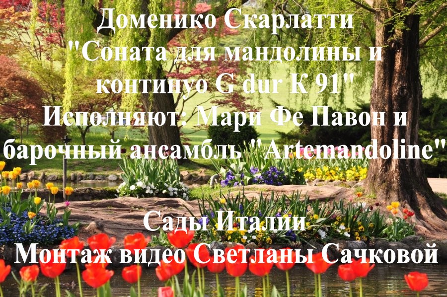 Доменико Скарлатти "Соната для мандолины и континуо G dur К 91"