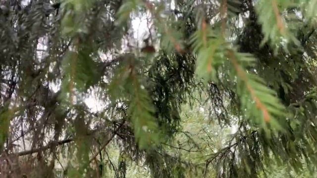 Экопривычки для школьников: чем можно помочь планете?