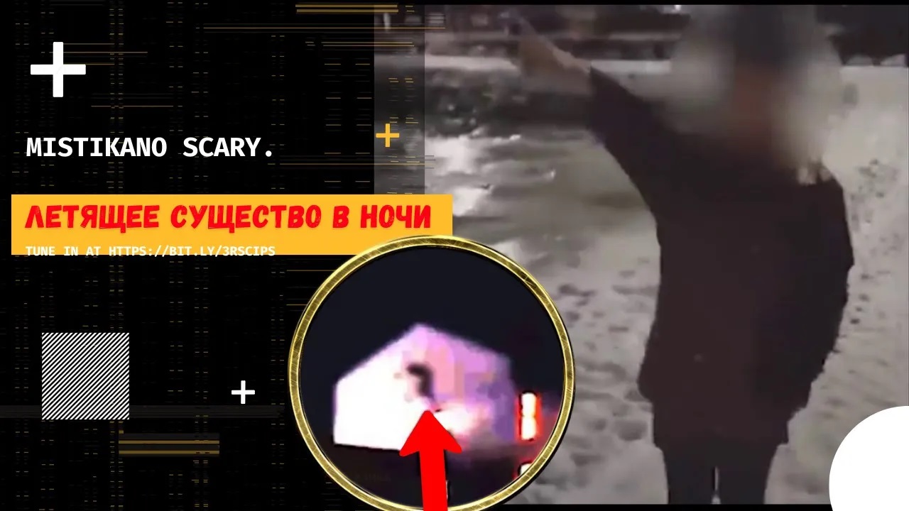 Неизвестное летающее существо попало на камеру ночью