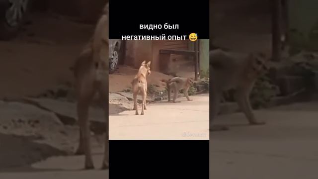 ?доброе утро друзья?