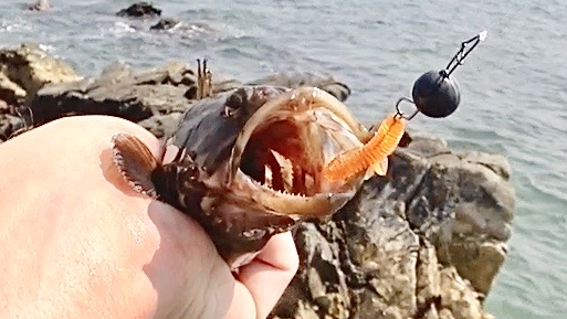 Вот она Вот, Есть Поймал! Рыбалка на спиннинг в море Гоа 2023