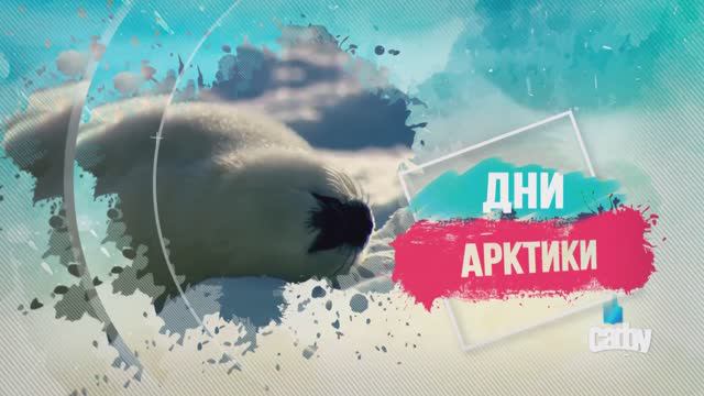 В САФУ завершились Дни Арктики 2023