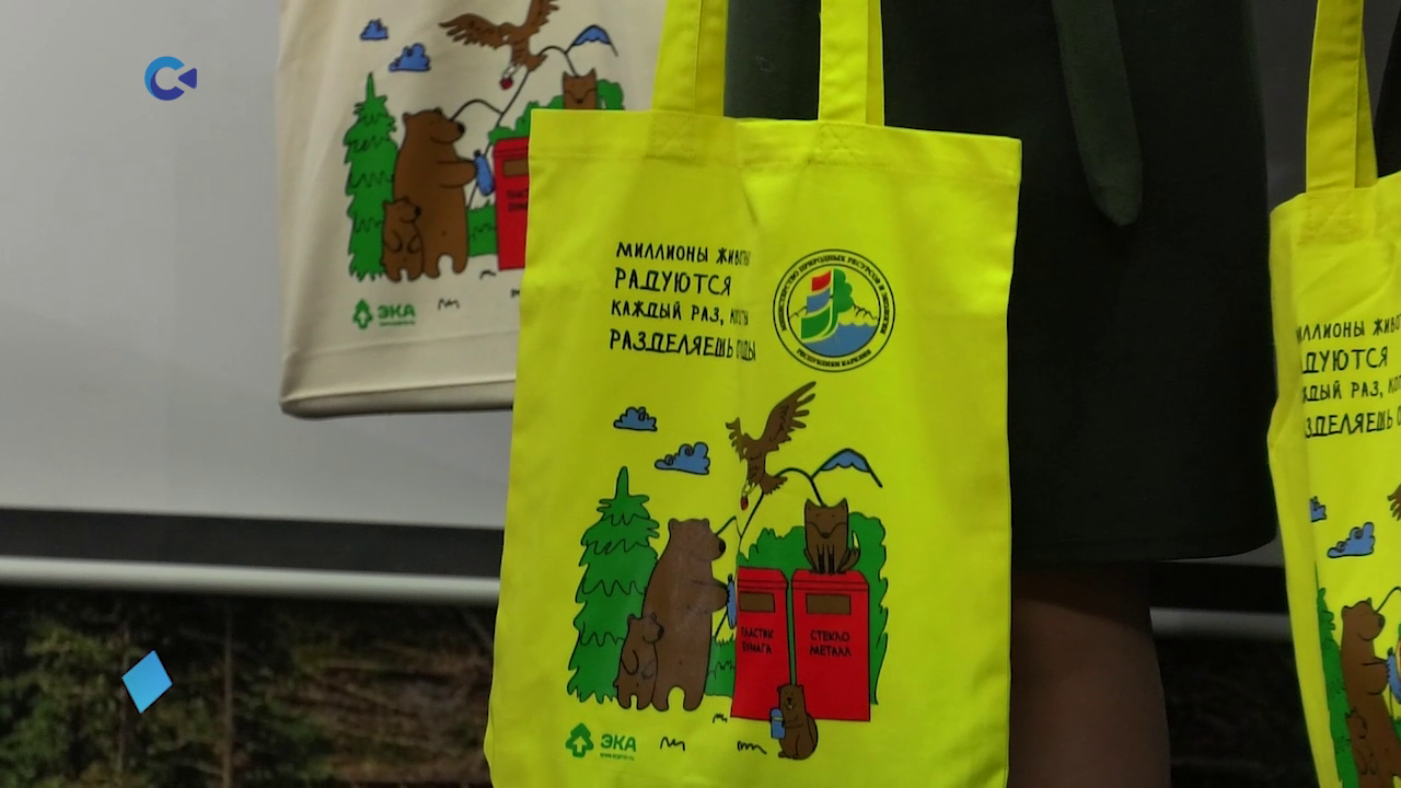 Школьники из Карелии стали призёрами международной премии «Экология – дело каждого»