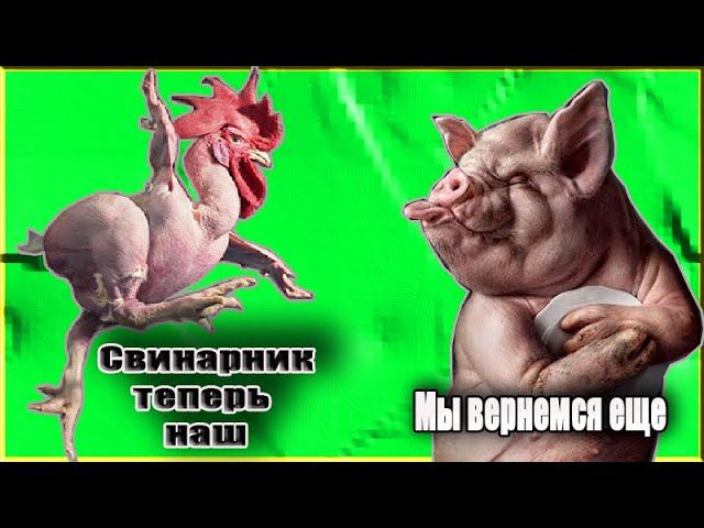 Готовлю Свинарник под Курятник  Мастерю новый Брудер для цыплят