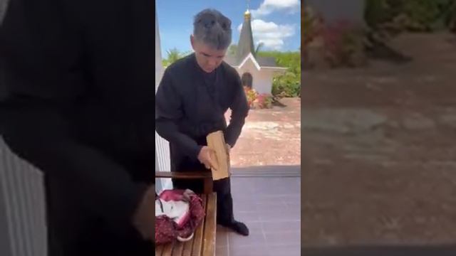 🔴 ЧУДО внутри дерева!