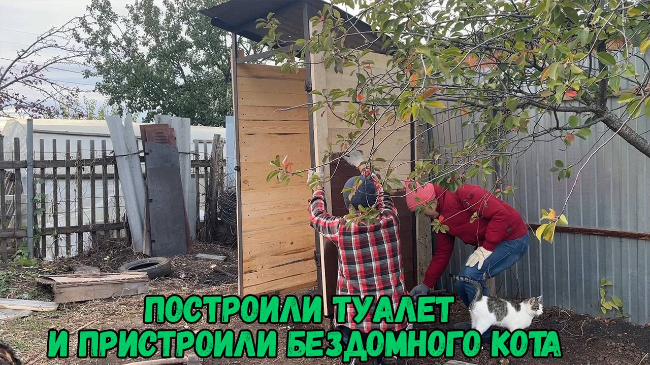 Построили туалет и пристроили бездомного кота