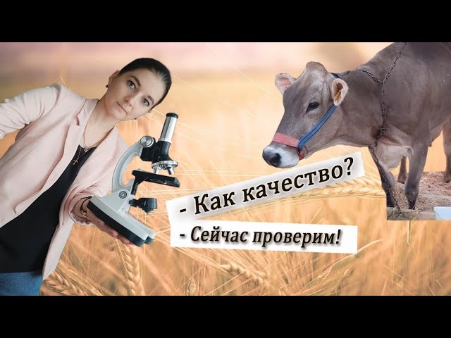 Проверка качества семени быков-производителей.