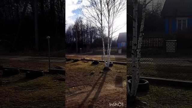 Зима на посошок забегала.