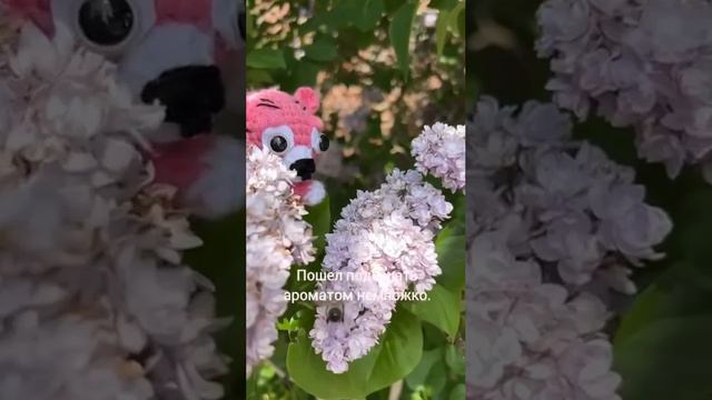 Тигренок Ти на прогулке