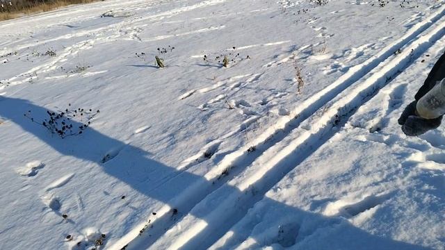 ВЛОГ №3: разбиваем бутылку с лимонадом и гуляем