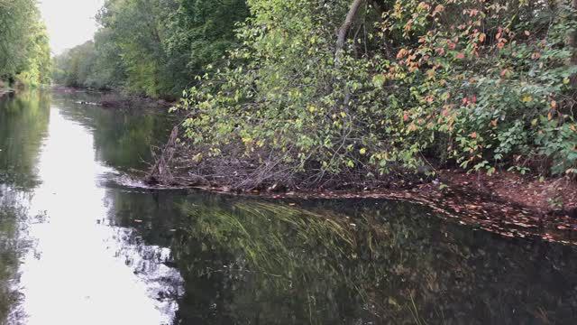 Оредеж после Вырицы на сапе сентябрь 2023