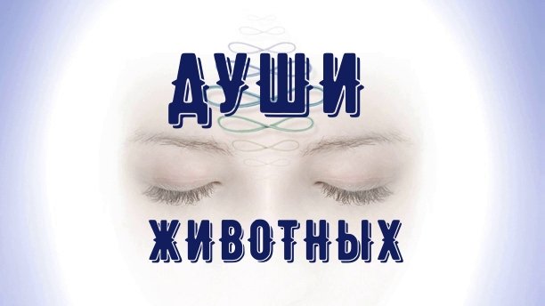 НАСТОЯЩИЕ БОГИ. КТО ОНИ И ОТКУДА. ДУШИ ЖИВОТНЫХ.