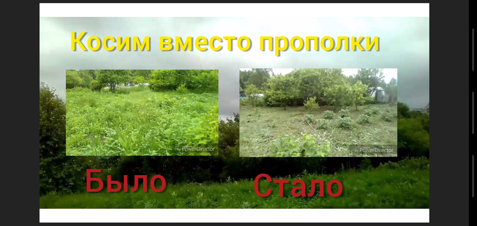 Косим огород,вместо прополки.