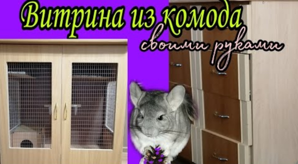 Витрина для шиншилл своими руками.