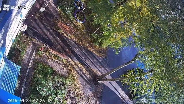 Камера EZVIZ C3S. Утро, солнечно.