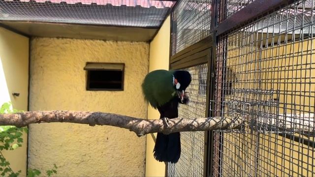 Калужская область