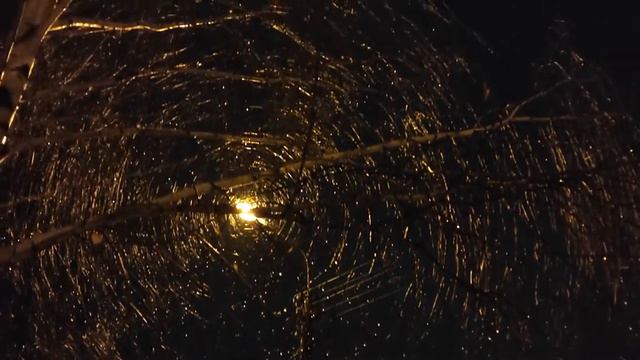 Фонари за деревьями.