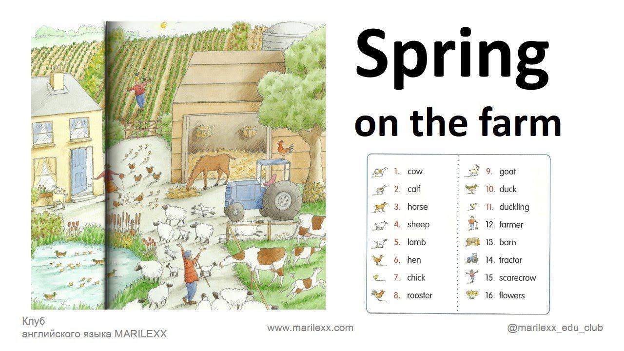 17. Spring on the Farm ("Весна на ферме" учим слова)