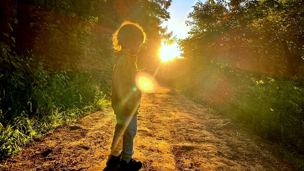 Внутренняя агрессия