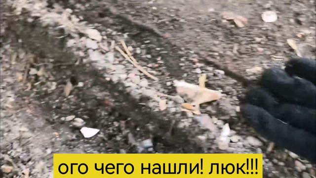 Садовый участок. Часть 3