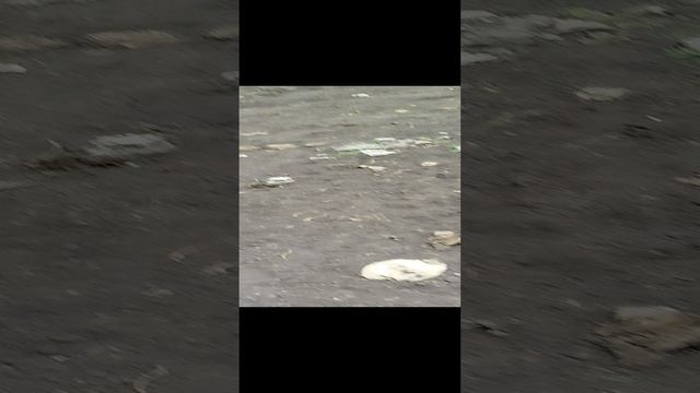 восхождение на вершину Пабаку Дагестан