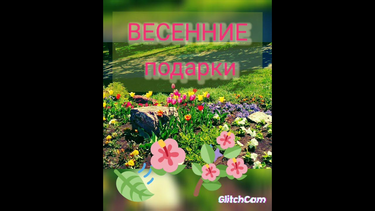 SPRING GIFTS, BLOOM, ВЕСЕННИЕ подарки ЦВЕТЫ