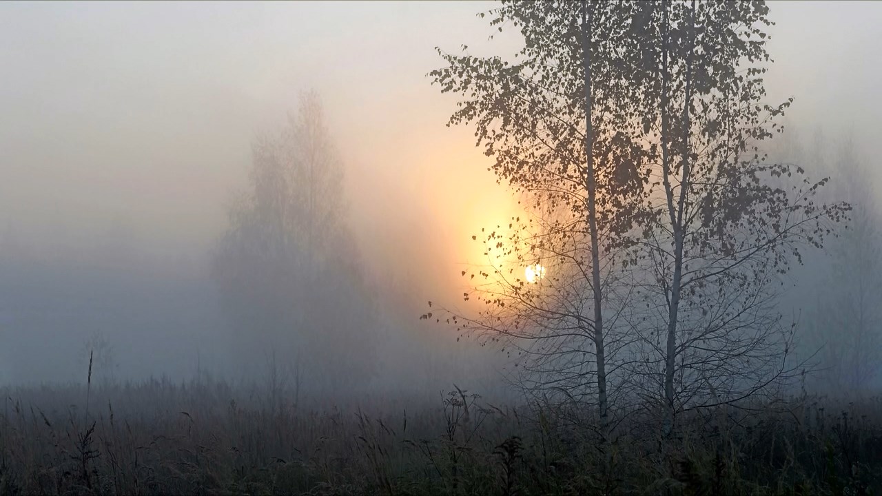 Память Глубины: 8. Рассвет.mp4