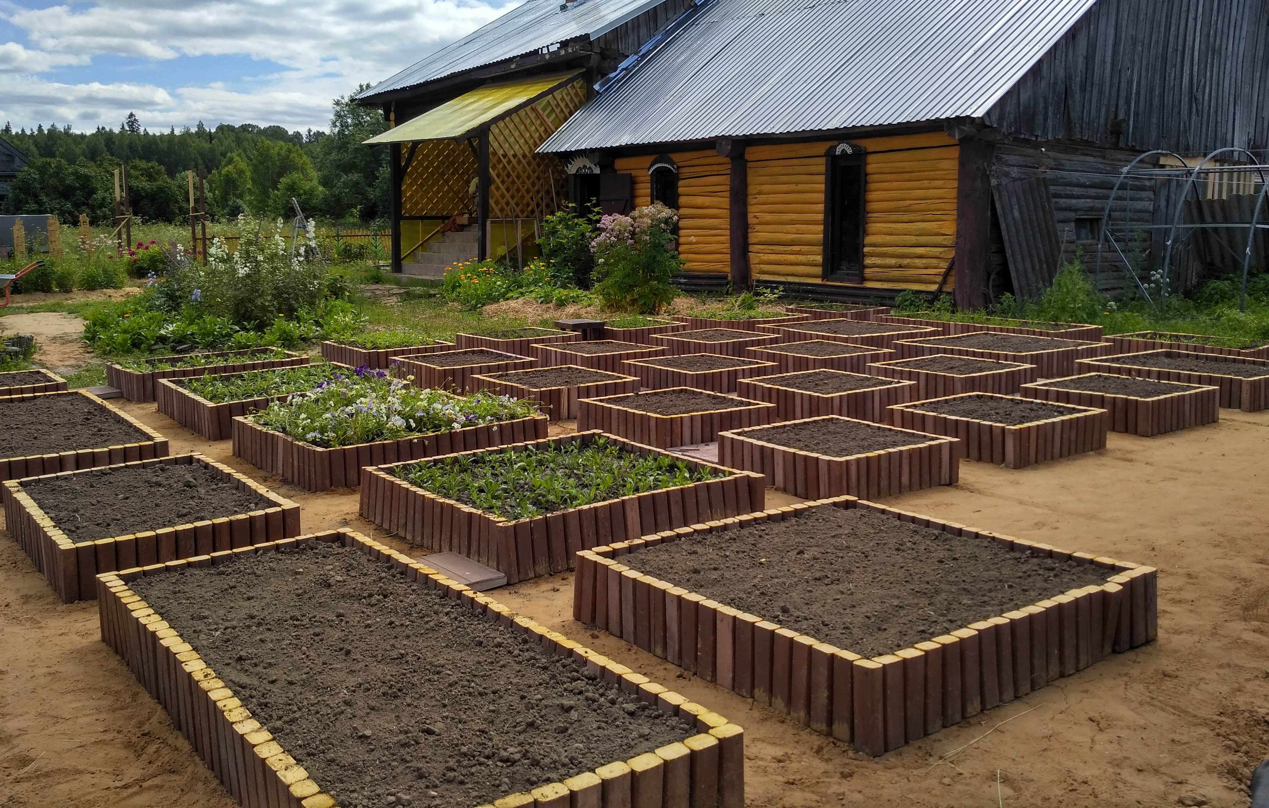 Сад однолетних цветов которые не нужно сажать каждый год заново.