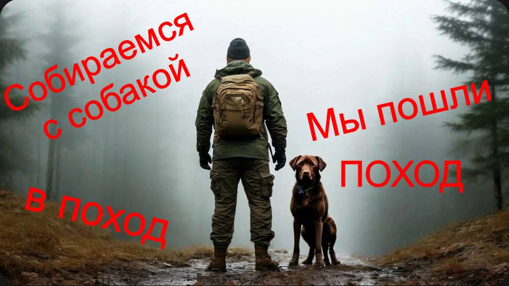 мы идём в поход