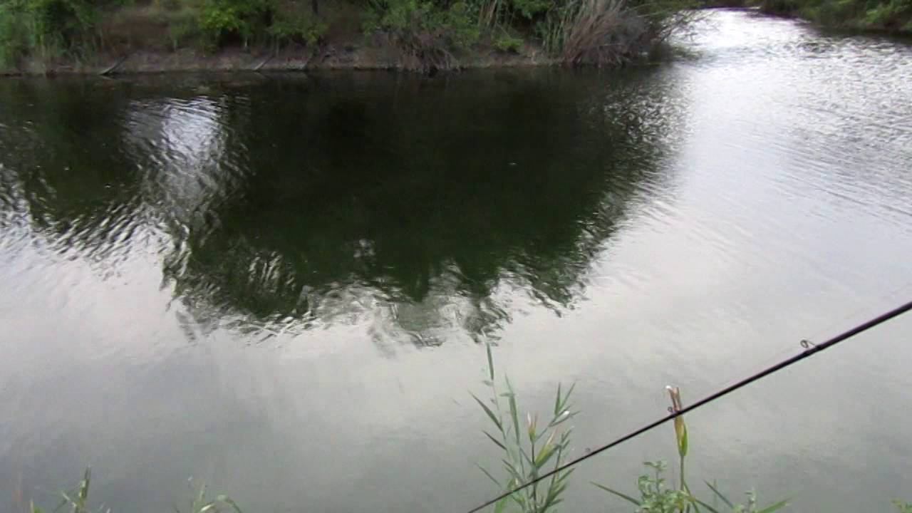 TsuYoki zanoza в модифицированном варианте.