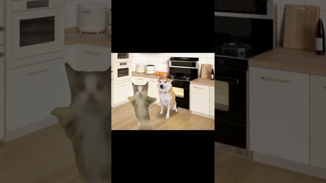 Хитрый котёнок снова подставил Banana cat