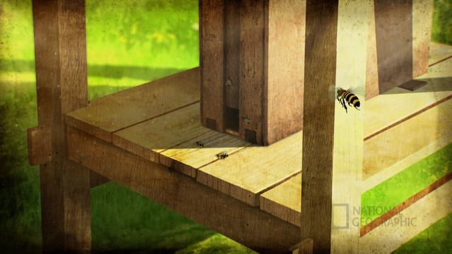 Космос. Возможные миры. 07