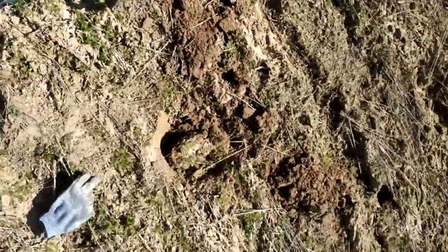 Коп на дачном поле.Небольшая вылазка в свободное время
