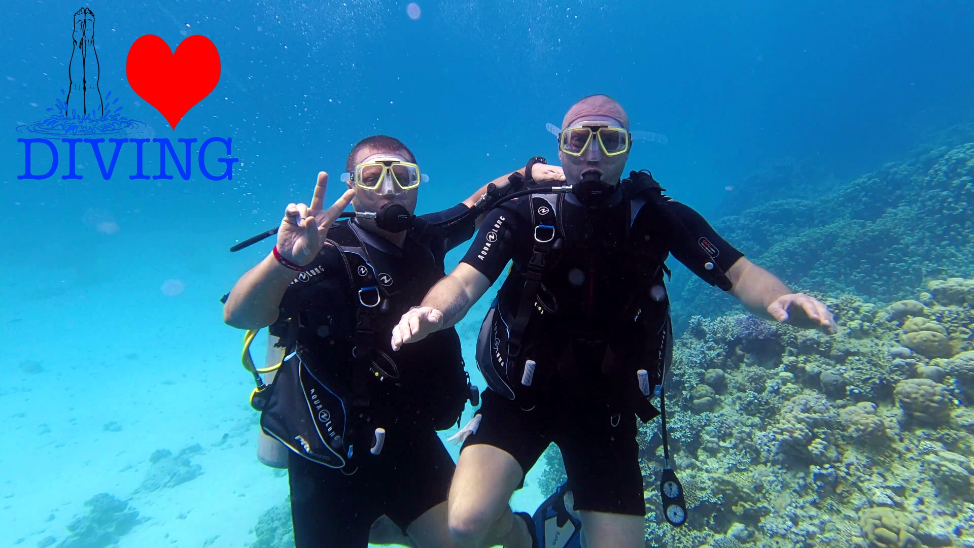 Ali Baba Palace ➤ Хургада ➤ Дайвинг в Египте ➤ Отдых с Ильичом