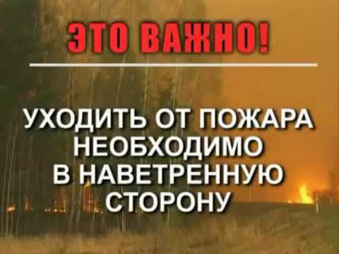 Лесные пожары