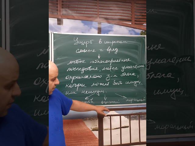 Определения. Ущерб в широком смысле = вред