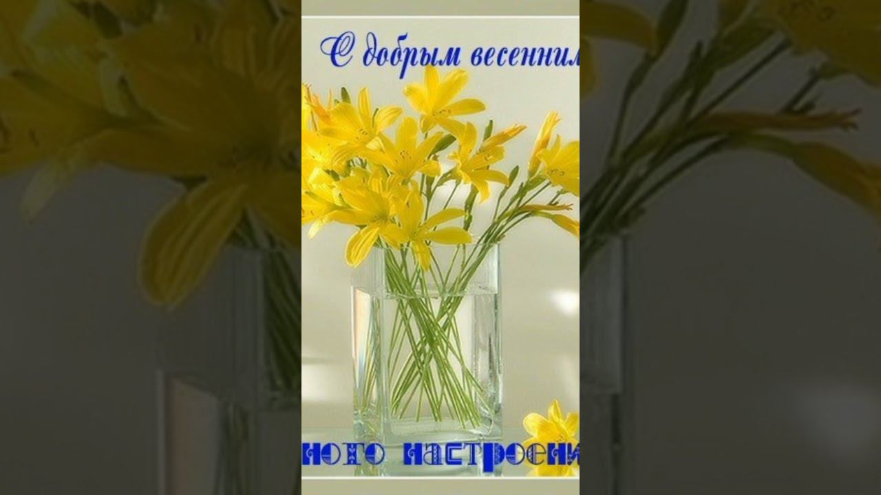 доброе утро мир