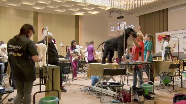 Отчетный видеоролик с мероприятия Калейдоскоп