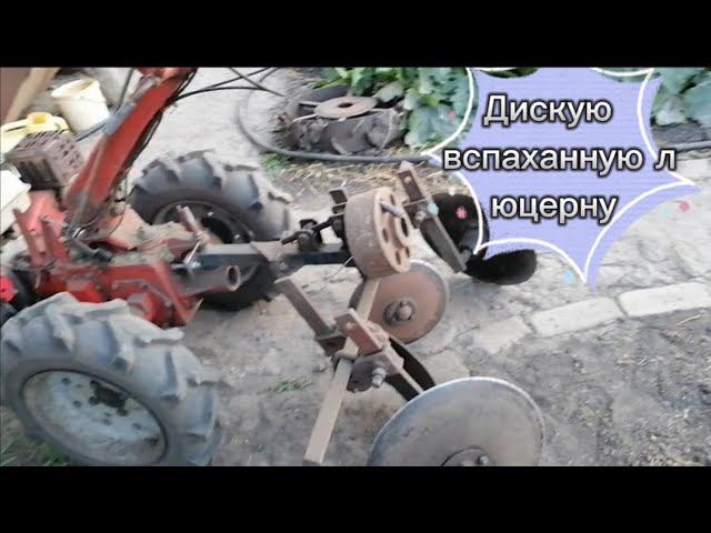 Дискую с дисковыми окучниками вспаханную люцерну мотоблоком Агро..