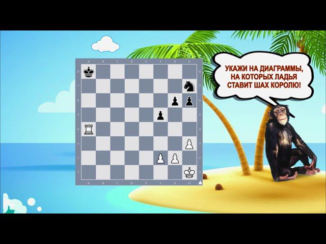 УКАЖИ НА ДИАГРАММЫ, НА КОТОРЫХ ЛАДЬЯ СТАВИТ ШАХ КОРОЛЮ! Тренер Арно.