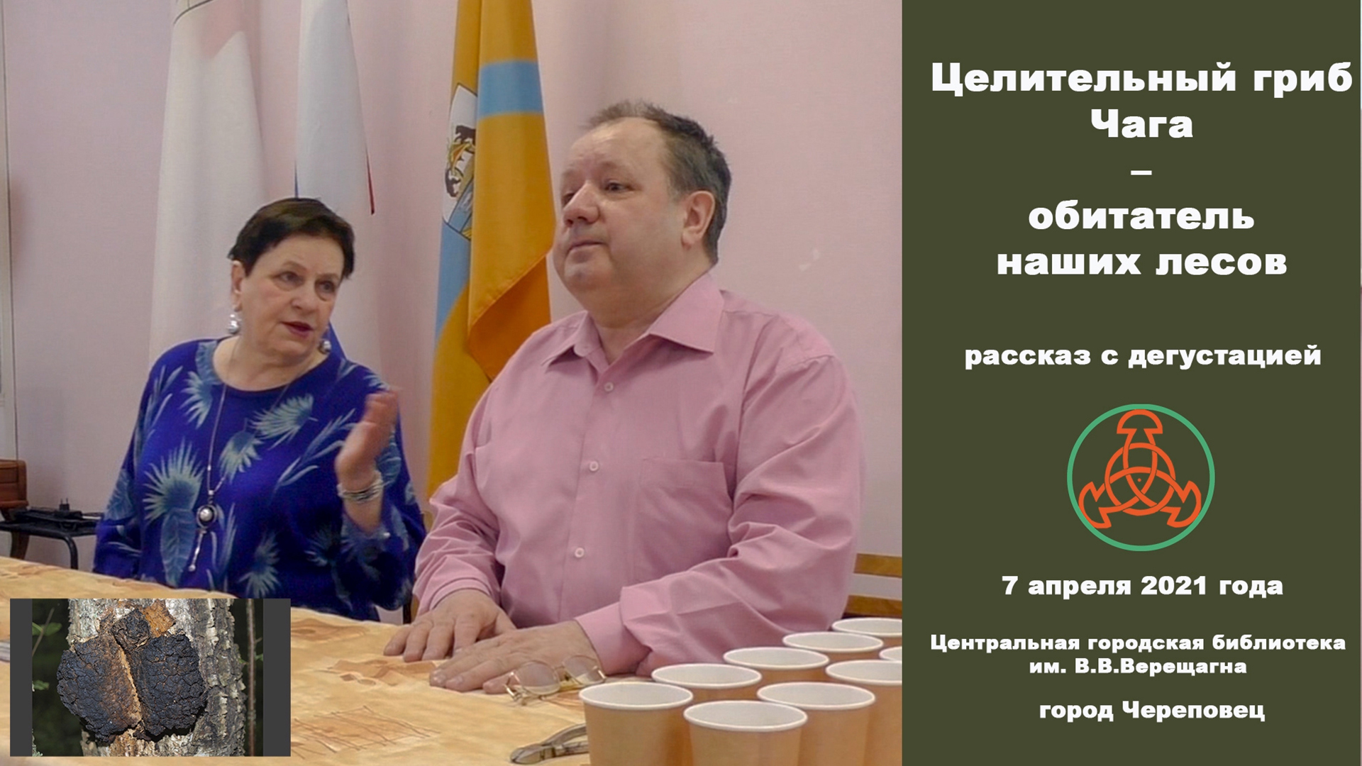 Целительный гриб чага - обитатель наших лесов. Рассказ с дегустацией.