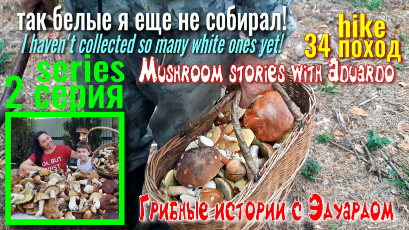Так Белые я ещё не Собирал! Поход в лес 34 – 2 серия. Грибные Истории с Эдуардом.