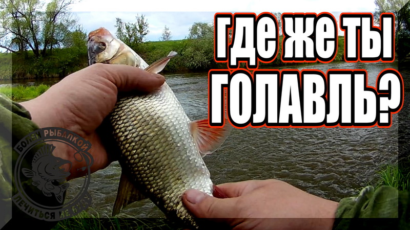 Ловля Голавля, Язя на Спиннинг. Рыбалка на малой реке ранней весной.